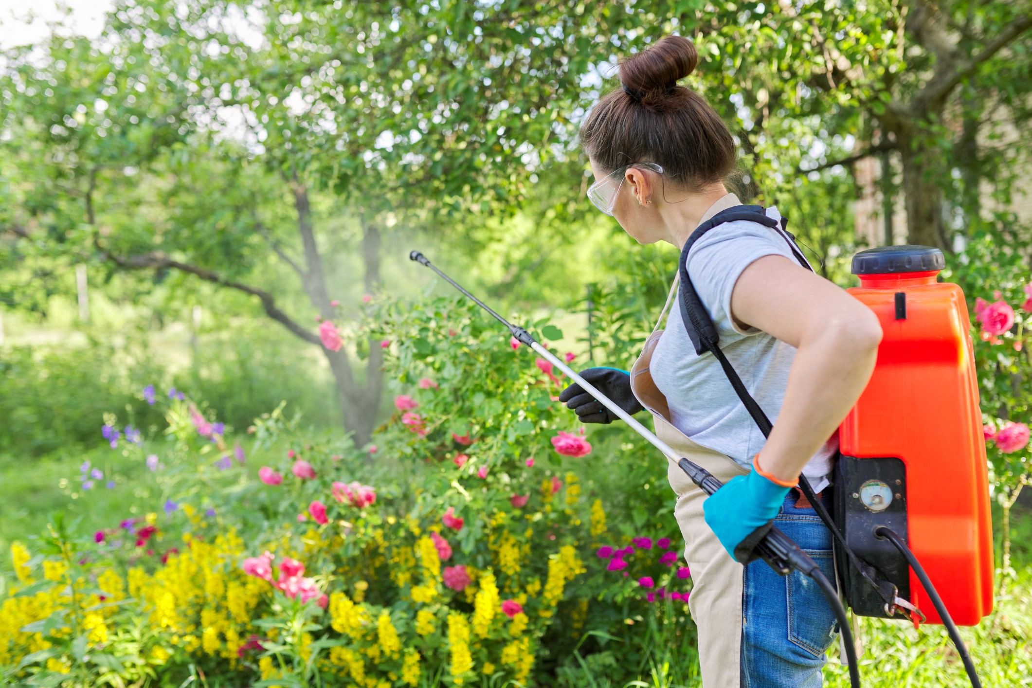 Protect Yourself When Working with Pesticides | solvepest