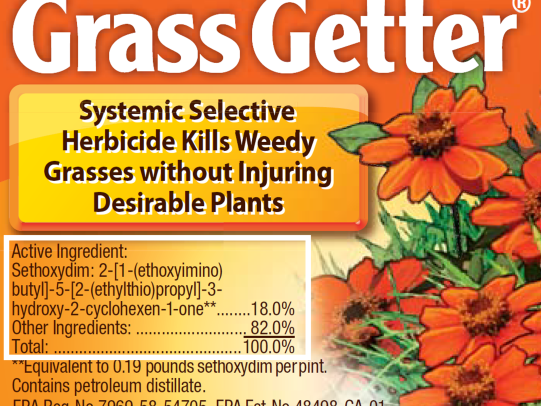 Grassy Weeds in Lawns | solvepest