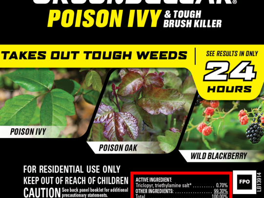 Knotweed | solvepest
