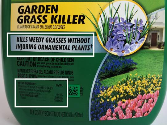 Quackgrass | solvepest