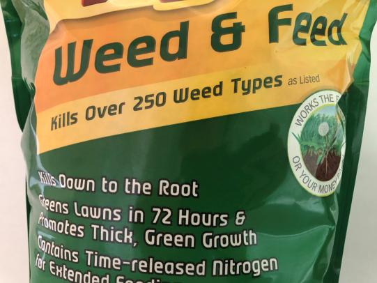 Broadleaf Weeds in Lawns | solvepest